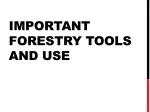 PPT - forestry tools PowerPoint Presentation, free download - ID:140858