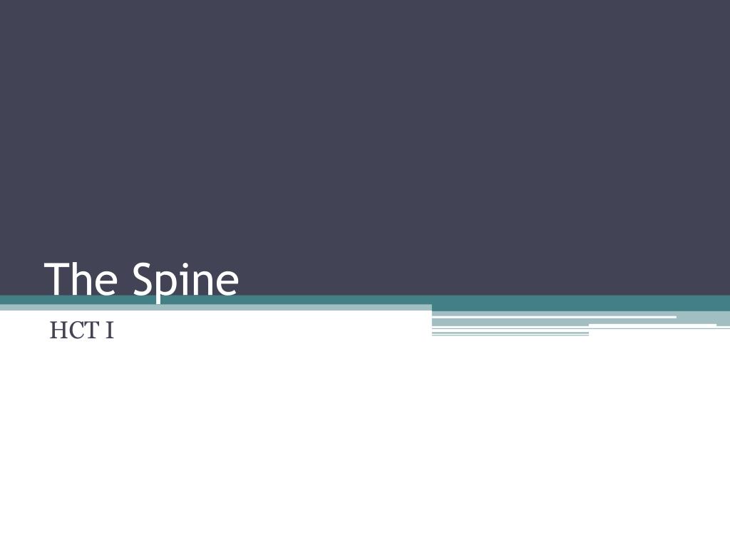 PPT - The Spine PowerPoint Presentation, free download - ID:2080931
