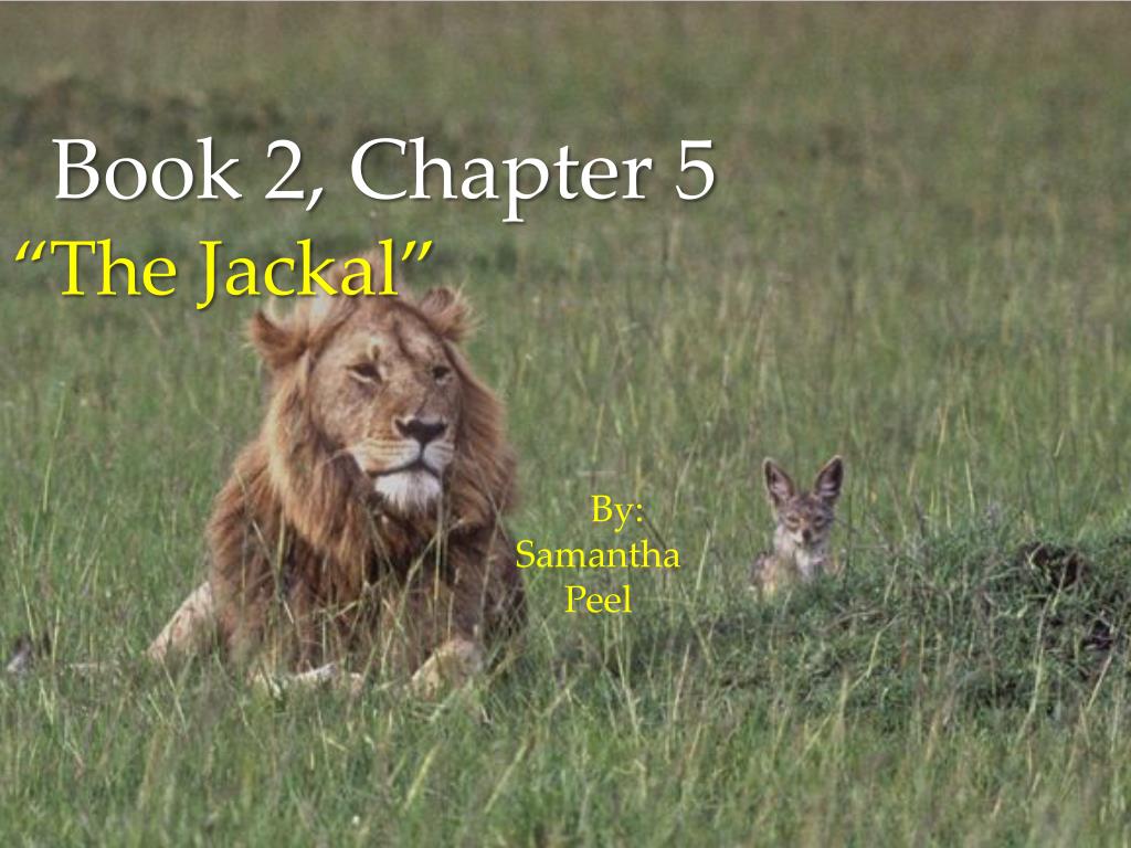 PPT - “The Jackal ” PowerPoint Presentation, free download - ID:2082684