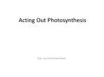 PPT - Phases of the Acting-Out Cycle PowerPoint Presentation, free ...