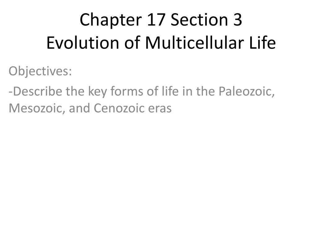PPT - Chapter 17 Section 3 Evolution of Multicellular Life PowerPoint ...