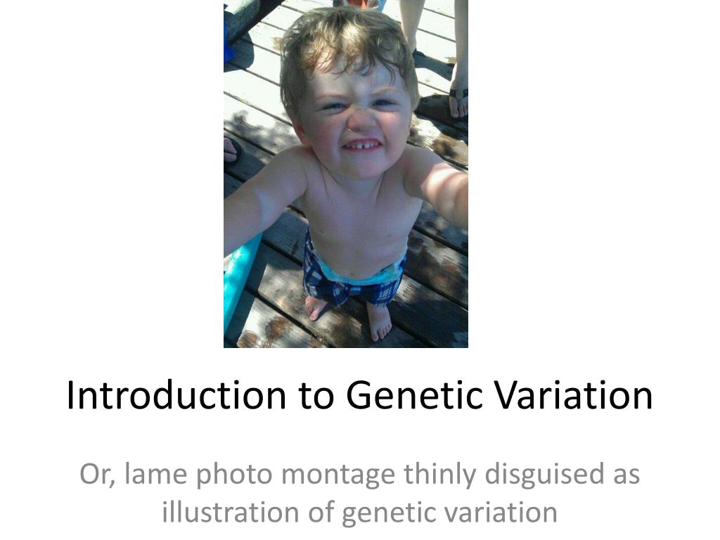 PPT - Introduction to Genetic Variation PowerPoint Presentation, free ...