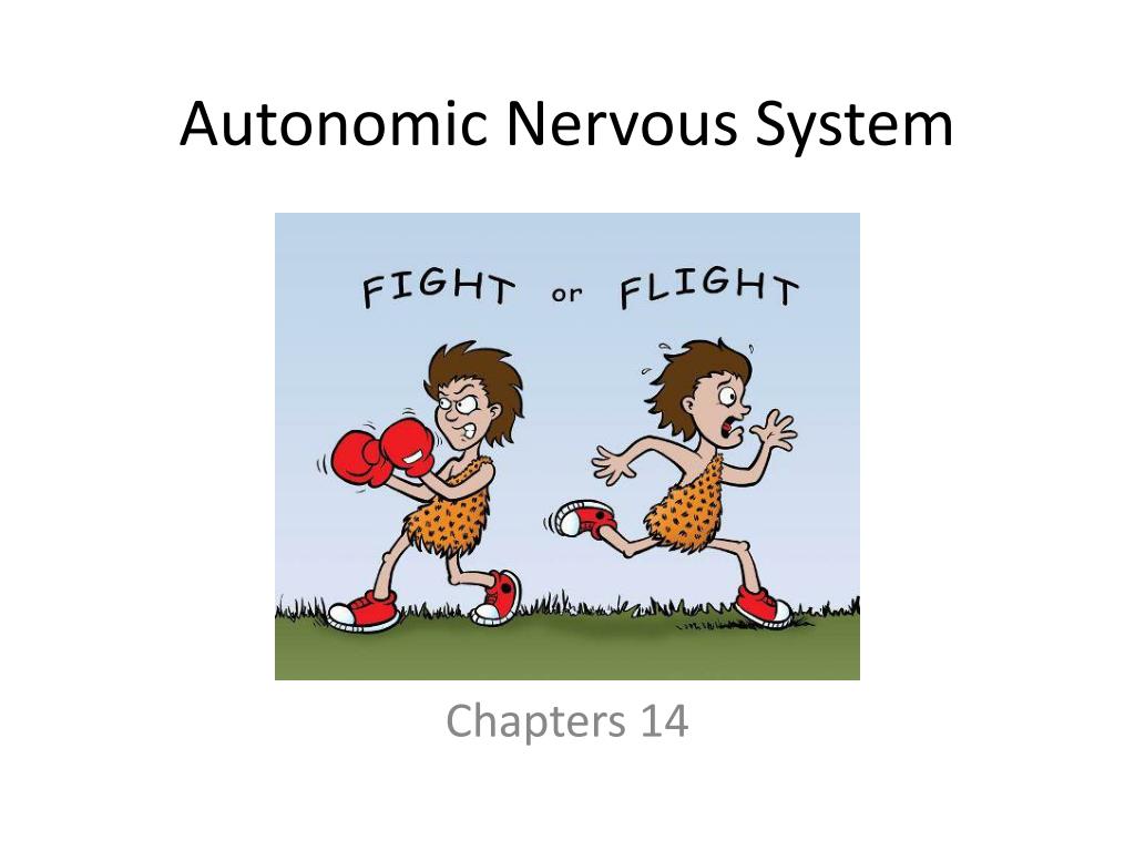 PPT - Autonomic Nervous System PowerPoint Presentation, free download ...