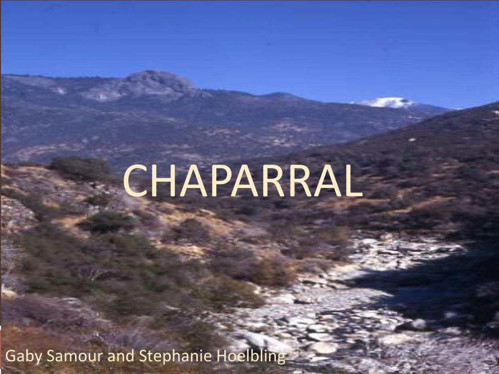 PPT - Chaparral PowerPoint Presentation, free download - ID:2084840