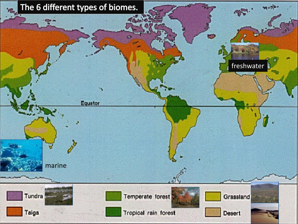 PPT - The 6 different types of biomes. PowerPoint Presentation, free ...