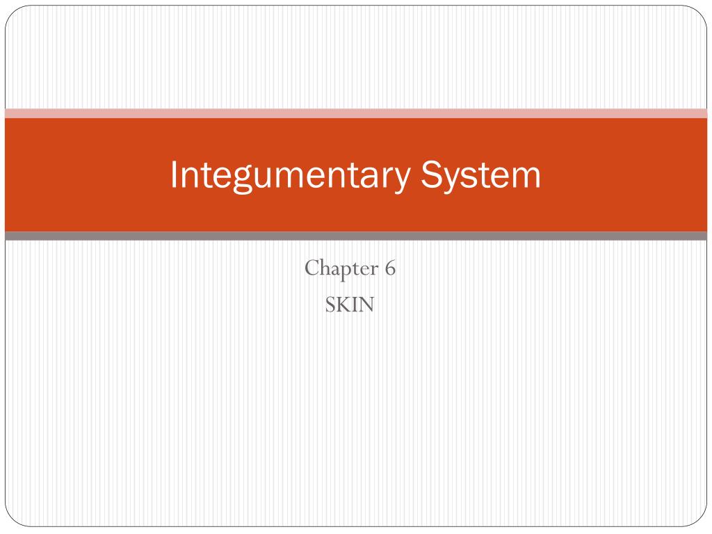 PPT - Integumentary System PowerPoint Presentation, free download - ID ...
