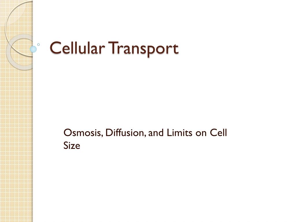 PPT - Cellular Transport PowerPoint Presentation, free download - ID ...