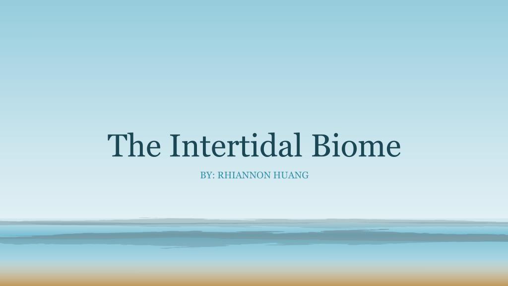 PPT - The Intertidal Biome PowerPoint Presentation, free download - ID ...