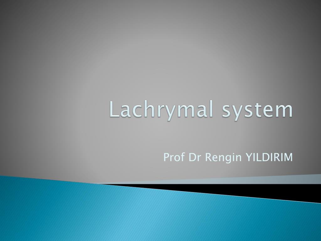 PPT - Lachrymal system PowerPoint Presentation, free download - ID:2087782