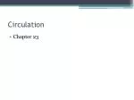 PPT - Circulation PowerPoint Presentation, free download - ID:1216242