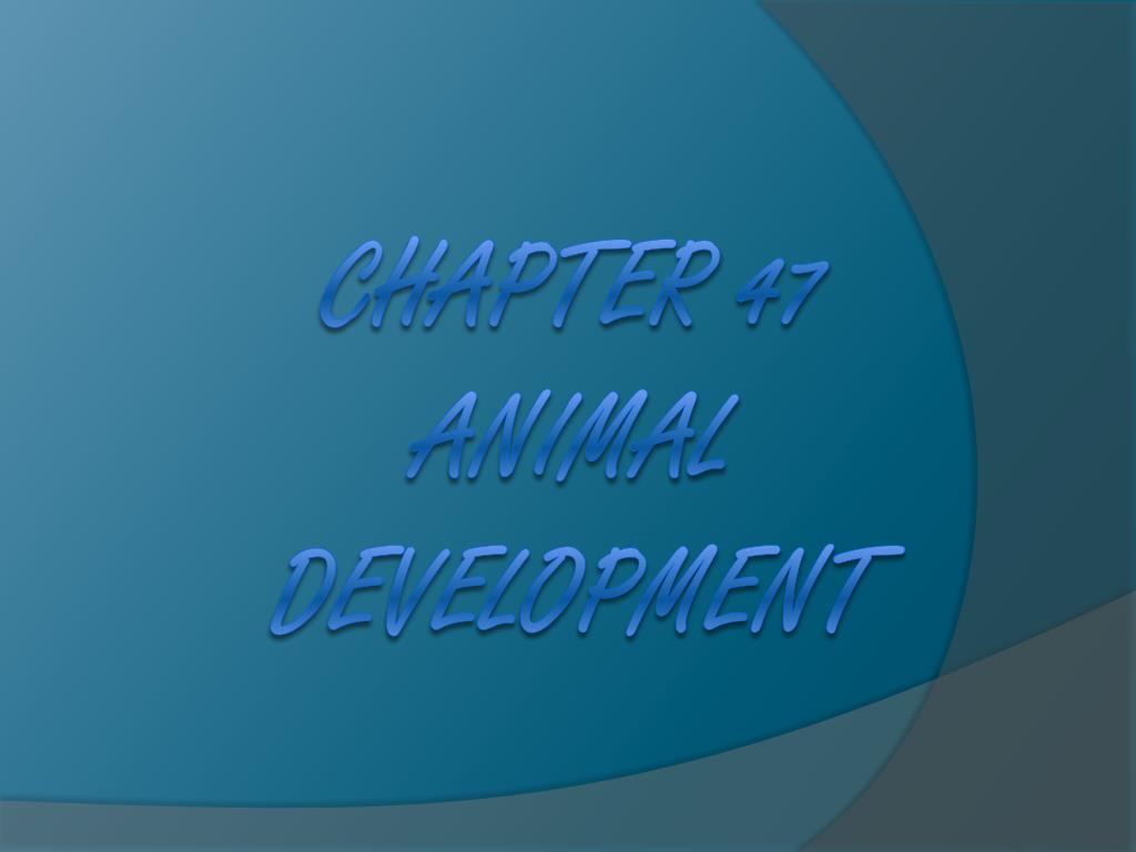 PPT - Chapter 47 Animal Development PowerPoint Presentation, free ...