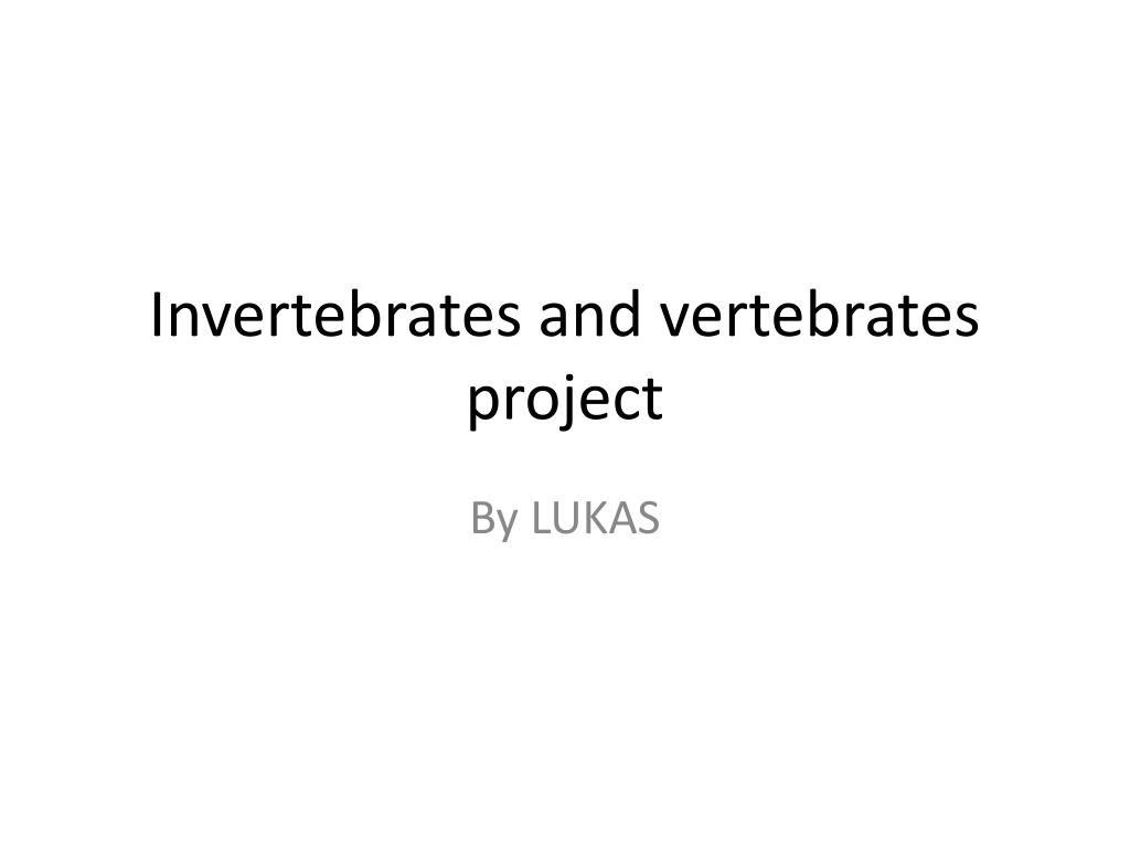 PPT - Invertebrates and vertebrates project PowerPoint Presentation ...