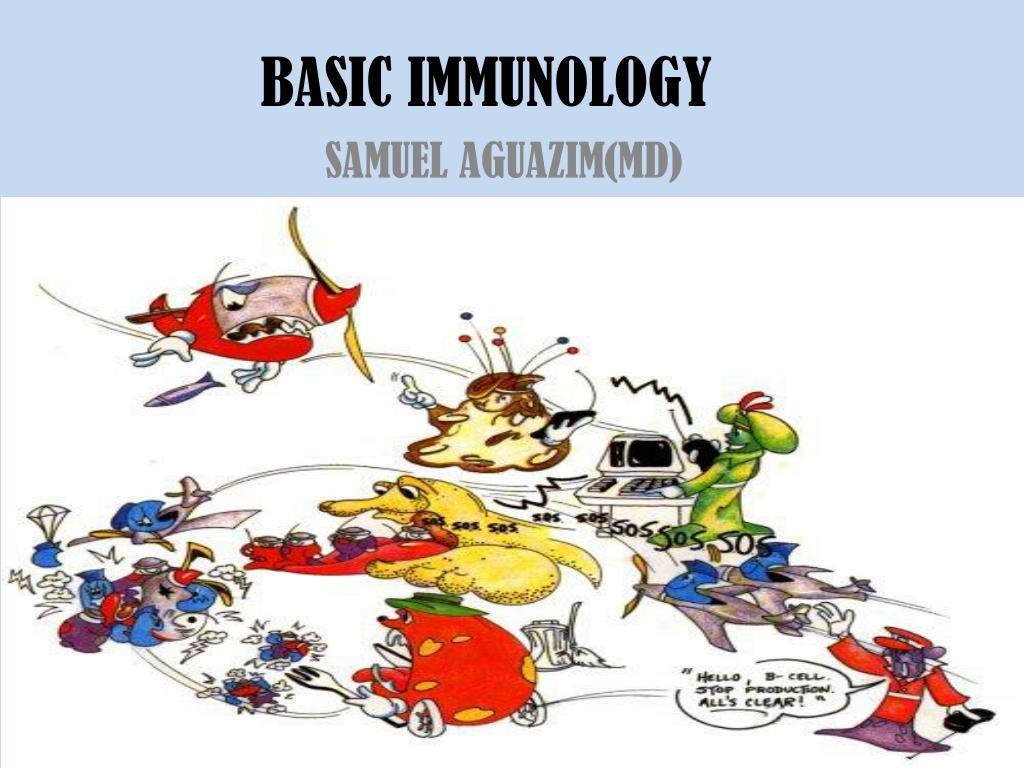 PPT - BASIC IMMUNOLOGY PowerPoint Presentation, free download - ID:2090322