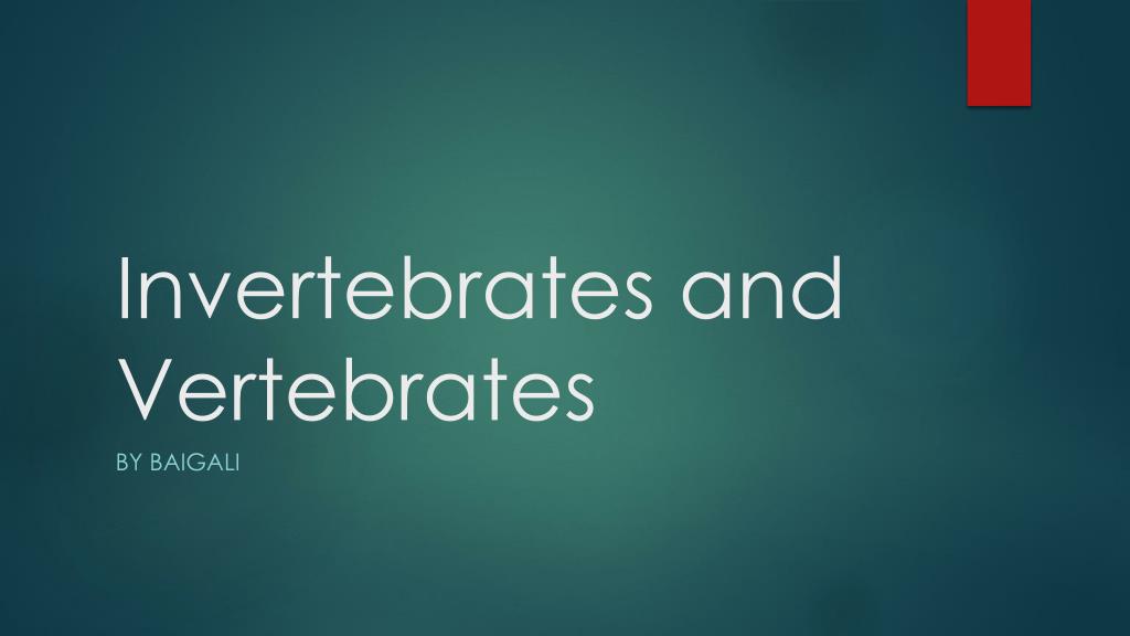 PPT - Invertebrates and Vertebrates PowerPoint Presentation, free ...