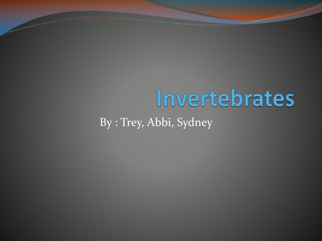 PPT - Invertebrates PowerPoint Presentation, free download - ID:2090398