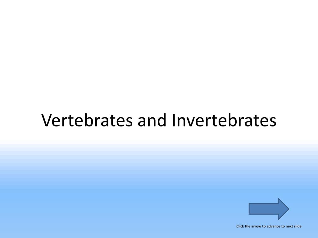 PPT - Vertebrates and Invertebrates PowerPoint Presentation, free ...
