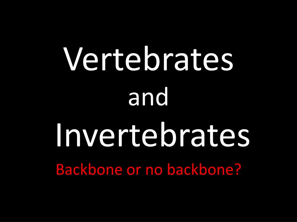 PPT - Vertebrates and Invertebrates PowerPoint Presentation, free ...
