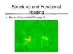PPT - Functional Imaging Techniques PowerPoint Presentation, free ...
