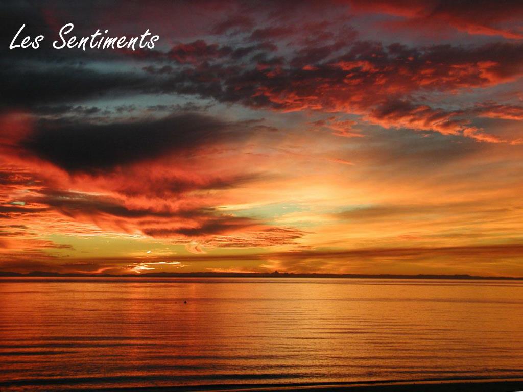 PPT - Les Sentiments PowerPoint Presentation, free download - ID:2095316