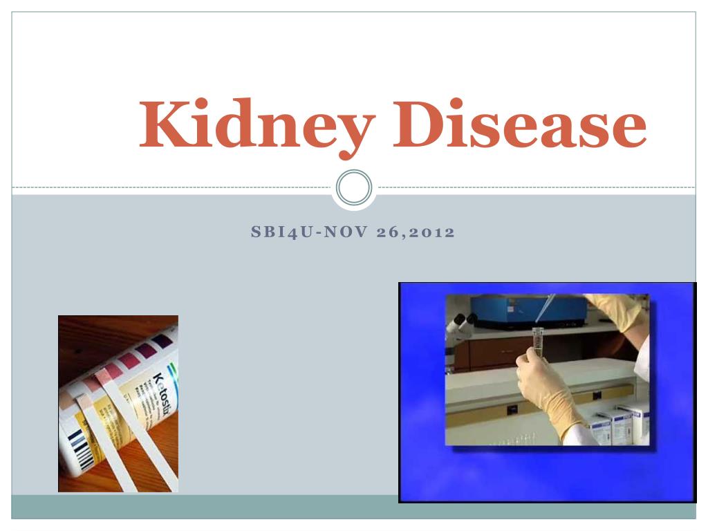 PPT - Kidney Disease PowerPoint Presentation, free download - ID:2095523