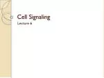 PPT - Cell Signaling I Signaling molecules and their receptors ...