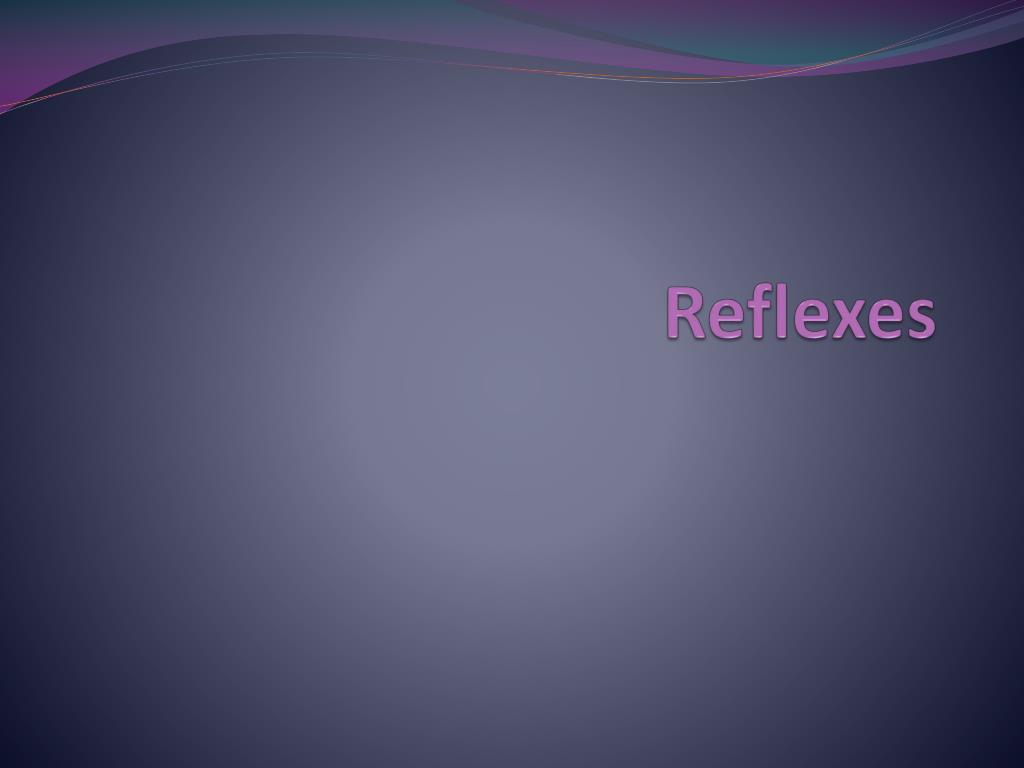 PPT - Reflexes PowerPoint Presentation, free download - ID:2095739