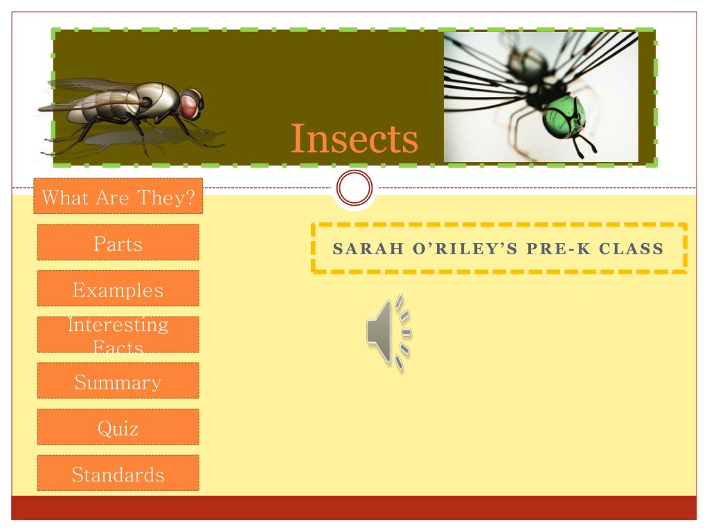PPT - Insects PowerPoint Presentation, free download - ID:2095918