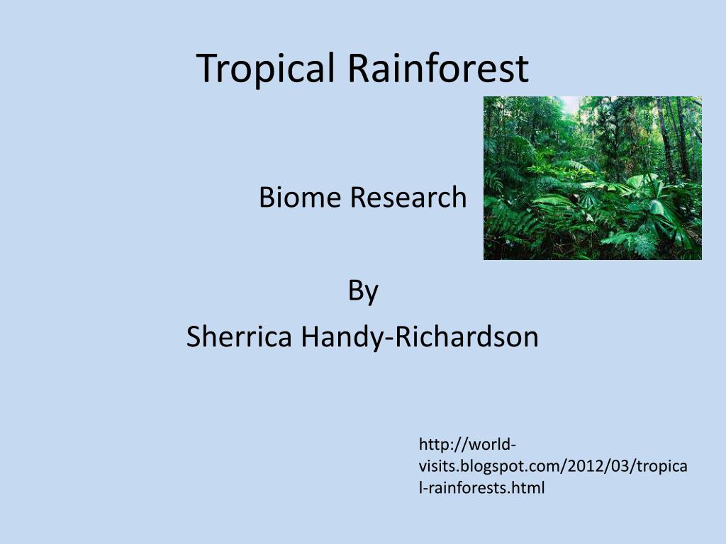PPT - Tropical Rainforest PowerPoint Presentation, free download - ID ...