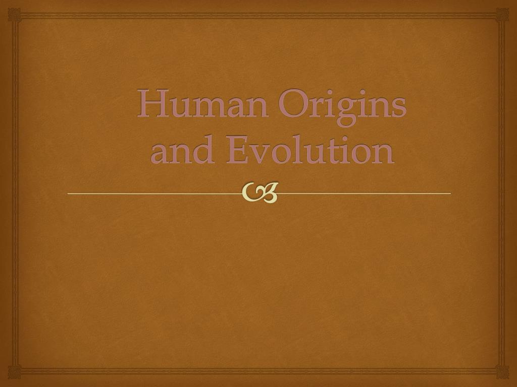 PPT - Human Origins and Evolution PowerPoint Presentation, free ...