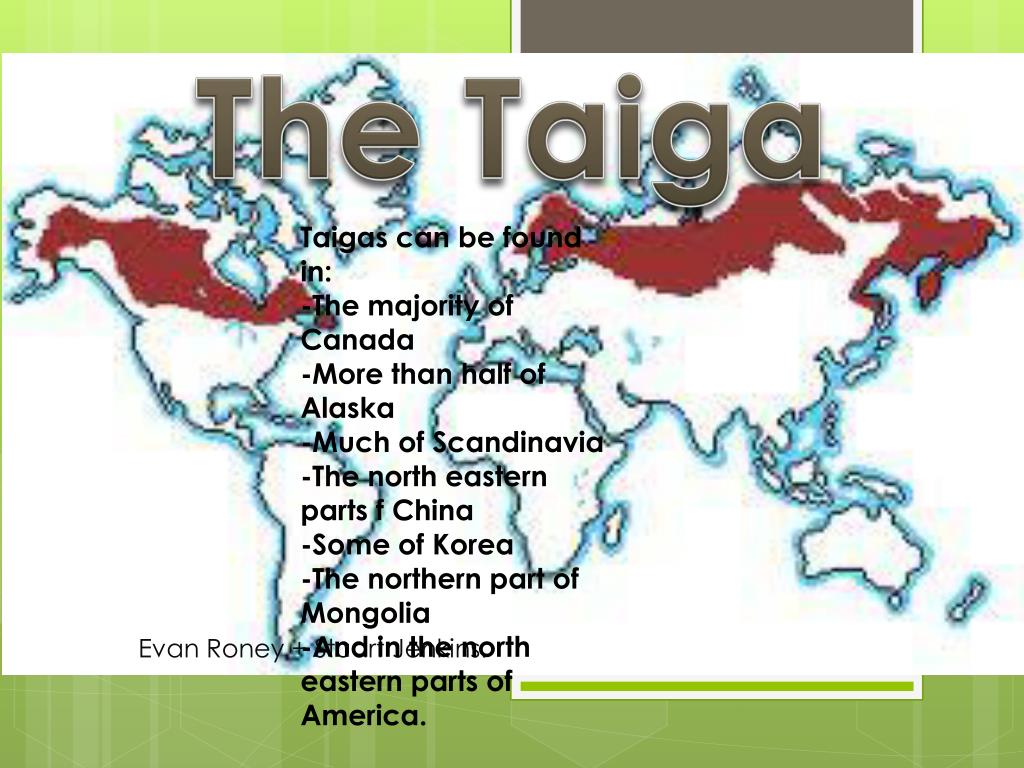 PPT - Evan Roney + Stuart Jenkins. PowerPoint Presentation, free ...