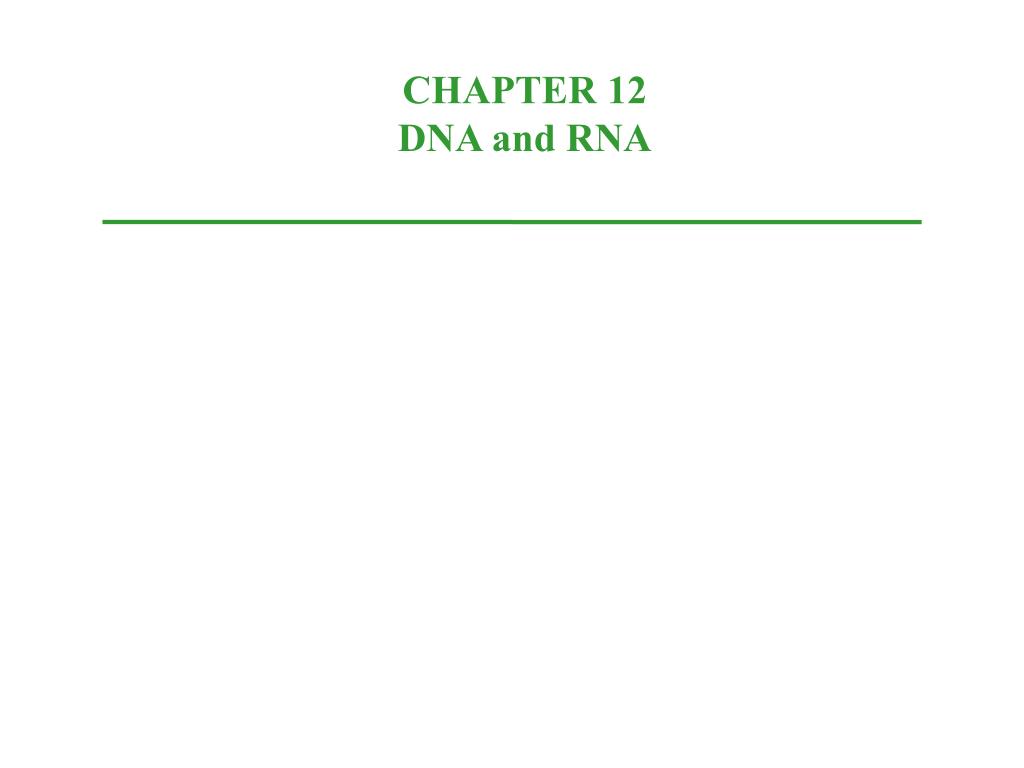 PPT - CHAPTER 12 DNA and RNA PowerPoint Presentation, free download ...
