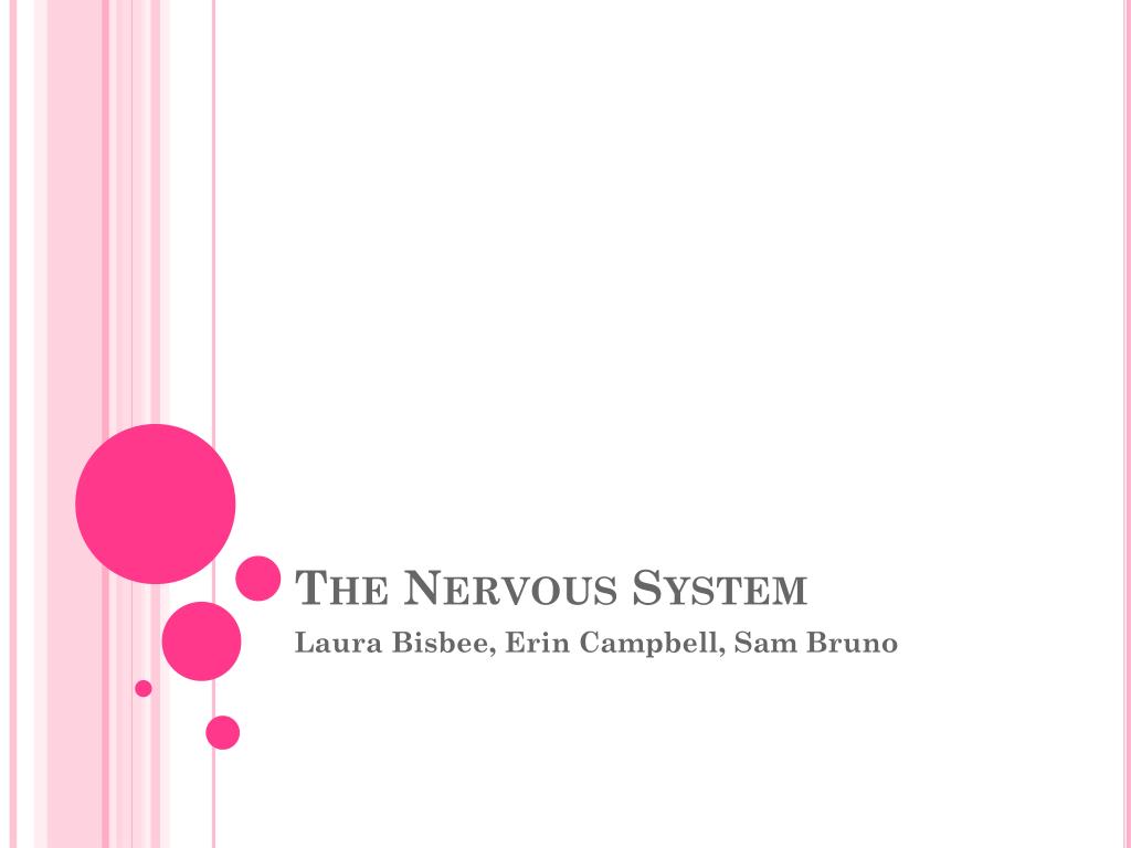 PPT - The Nervous System PowerPoint Presentation, free download - ID ...