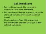 PPT - Cell Membrane PowerPoint Presentation, free download - ID:724824