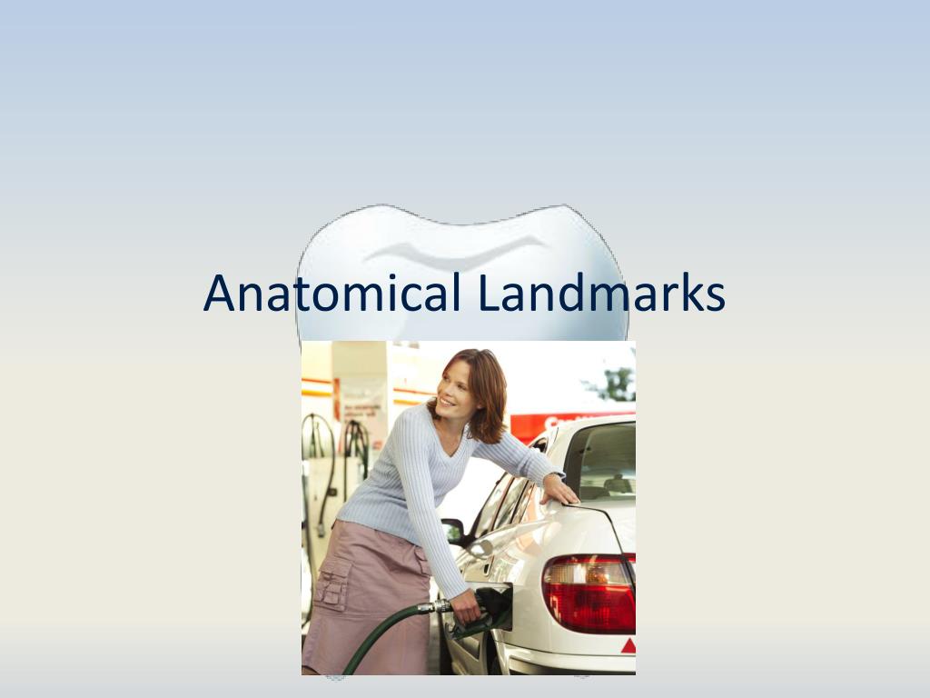 PPT - Anatomical Landmarks PowerPoint Presentation, free download - ID ...