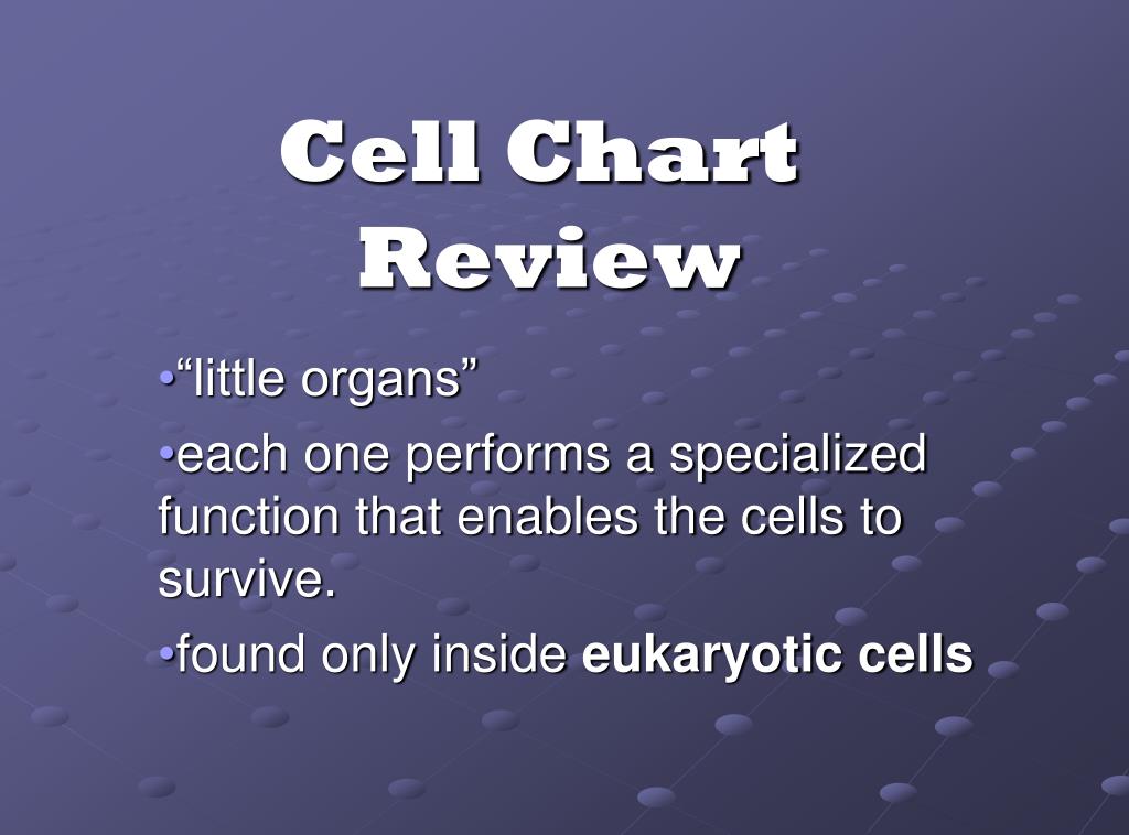 PPT - Cell Chart Review PowerPoint Presentation, free download - ID:2101262