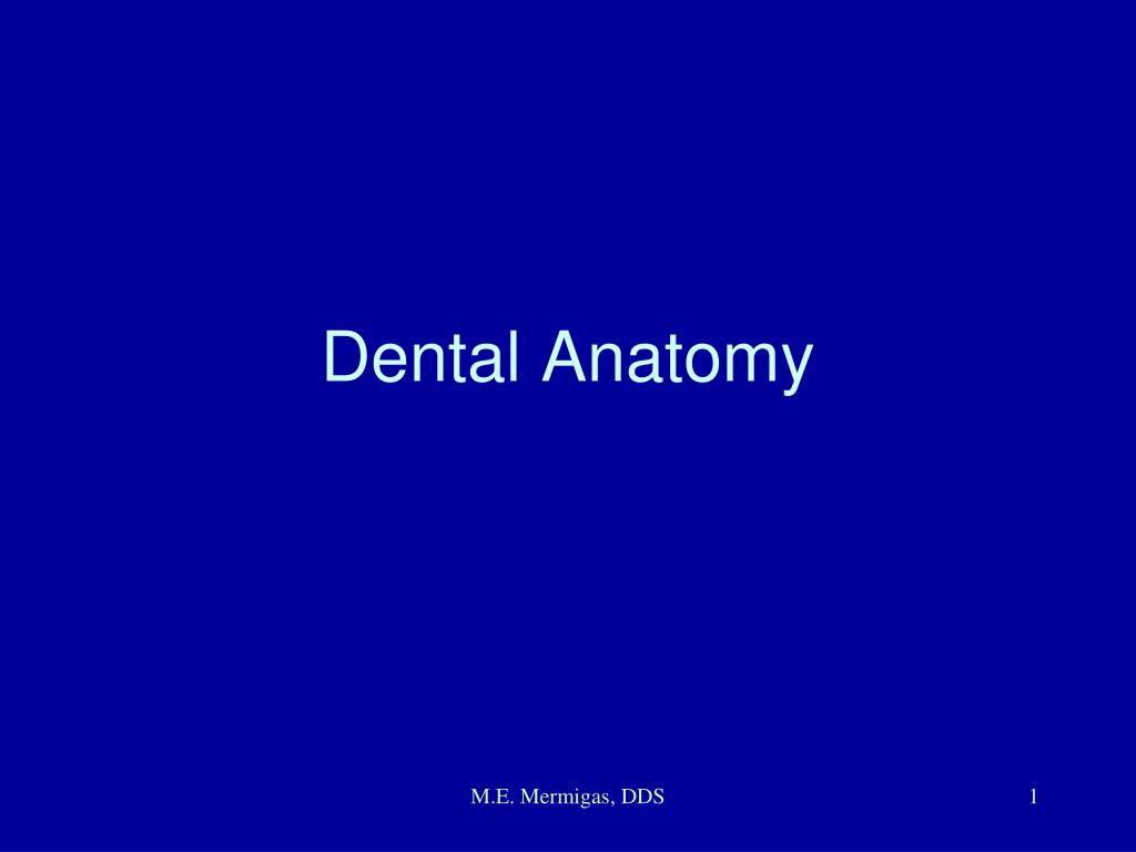 PPT - Dental Anatomy PowerPoint Presentation, free download - ID:2101496