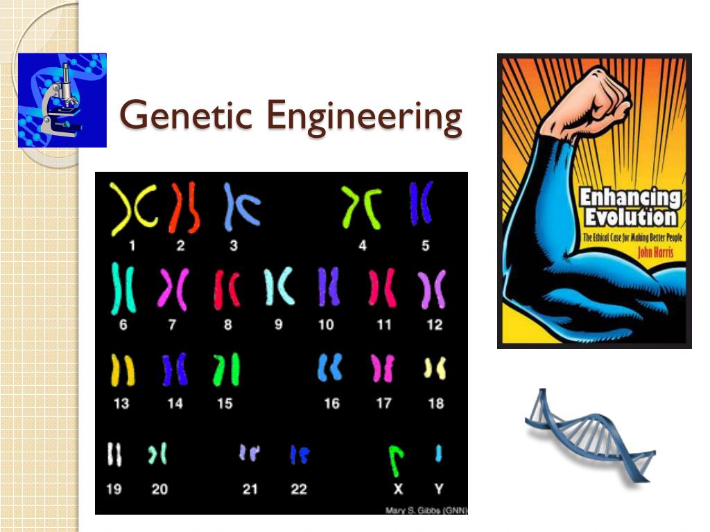 PPT - Genetic Engineering PowerPoint Presentation, free download - ID ...
