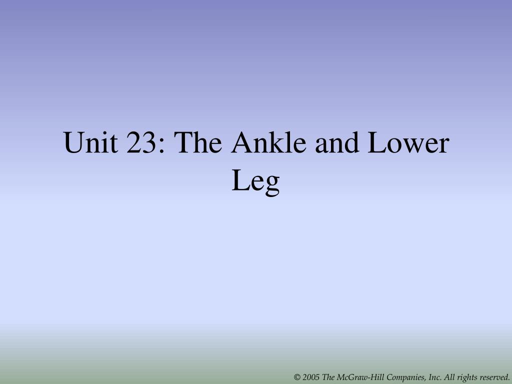 PPT - Unit 23: The Ankle and Lower Leg PowerPoint Presentation, free ...