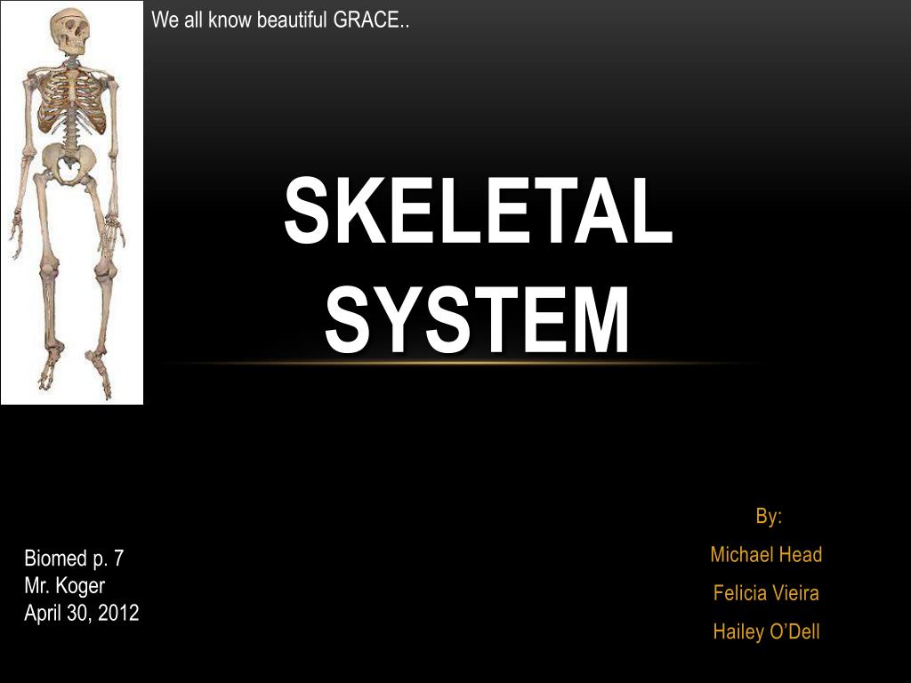 PPT - SKELETAL SYSTEM PowerPoint Presentation, free download - ID:2103619