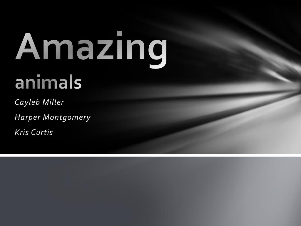 PPT - Amazing animals PowerPoint Presentation, free download - ID:2104473