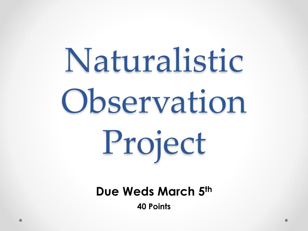 PPT - Naturalistic Observation Project PowerPoint Presentation, free ...