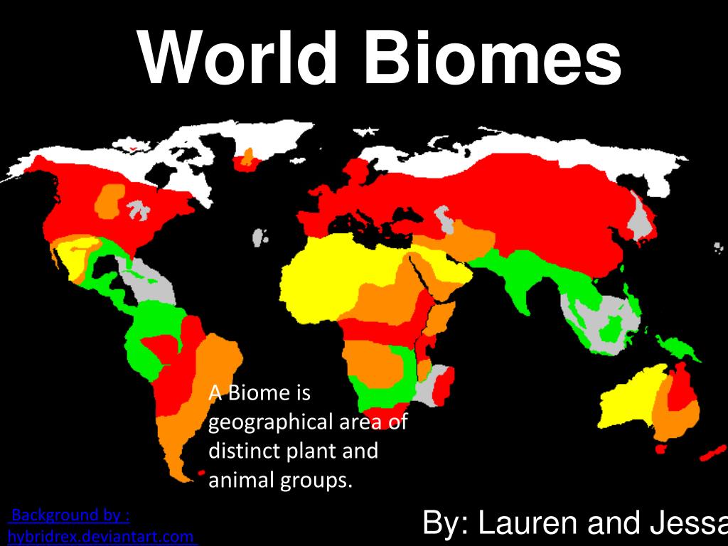 PPT - World Biomes PowerPoint Presentation, free download - ID:2105890