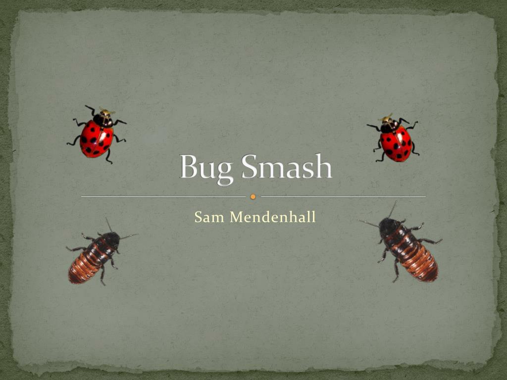 PPT - Bug Smash PowerPoint Presentation, free download - ID:2106767