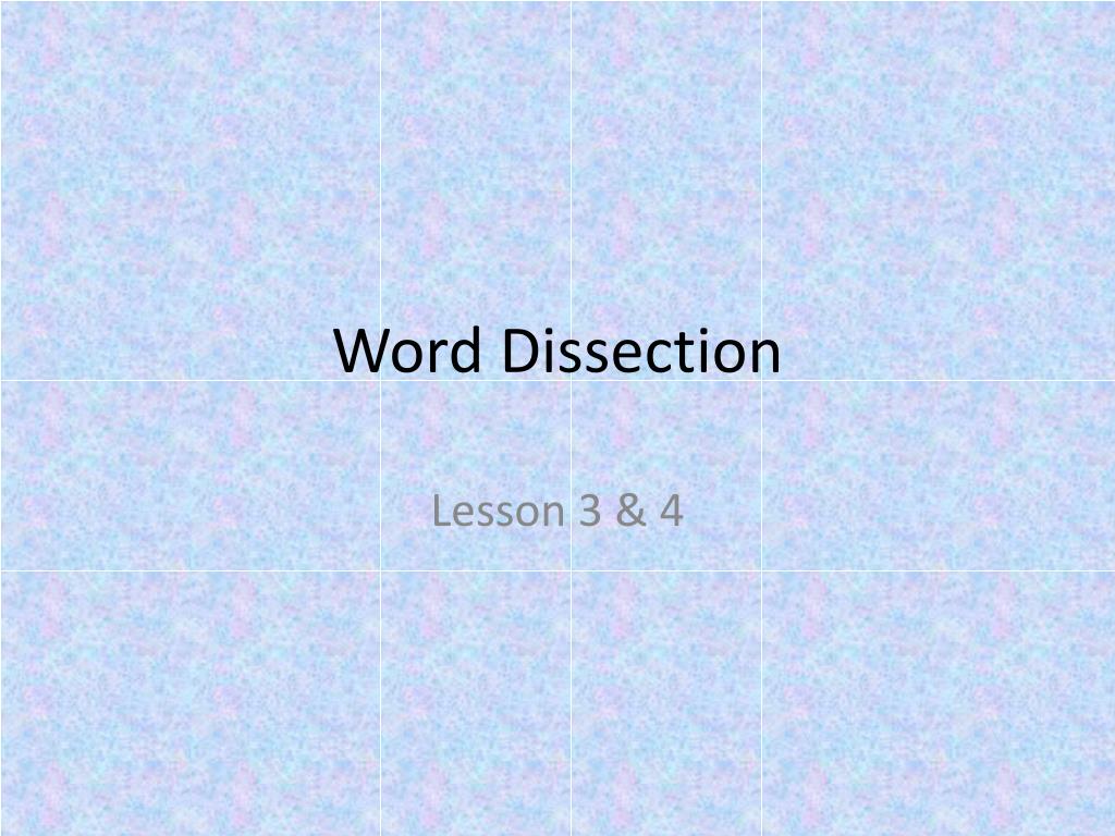 PPT - Word Dissection PowerPoint Presentation, free download - ID:2106892