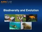 PPT - CHAPTER 4 Biodiversity and Evolution PowerPoint Presentation, free download - ID:9532000