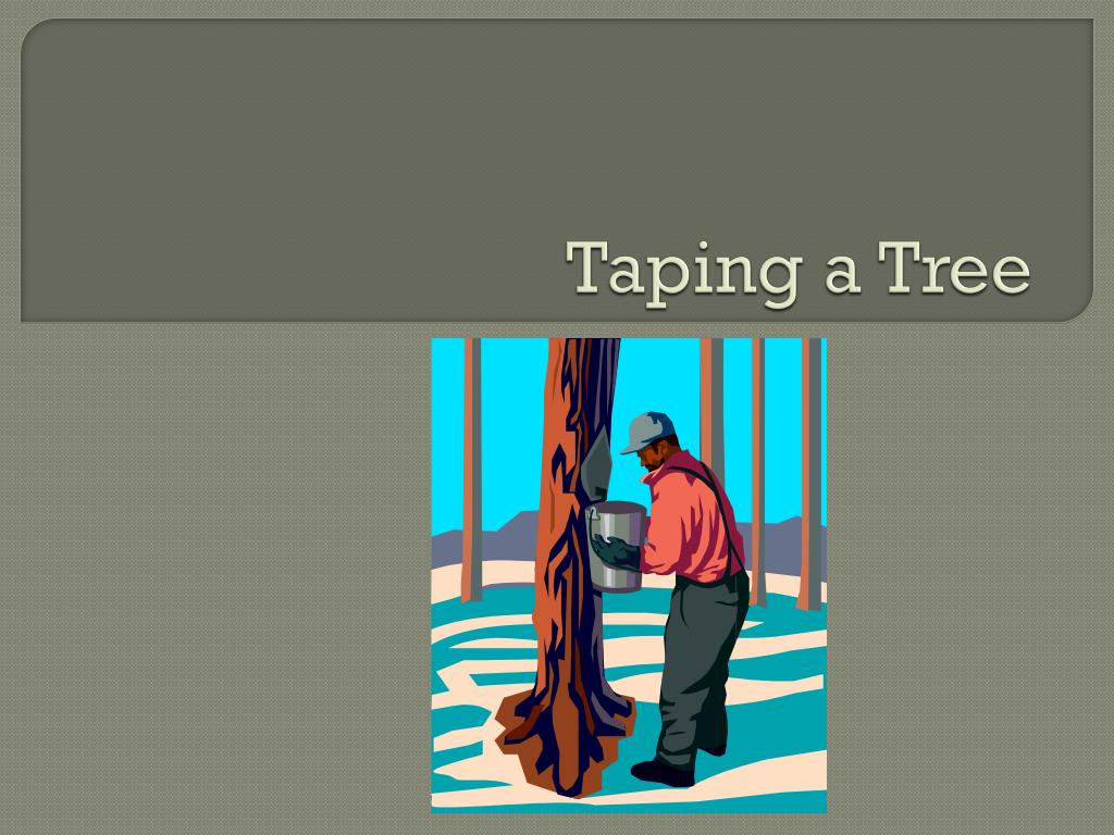 PPT - Taping a Tree PowerPoint Presentation, free download - ID:2108006