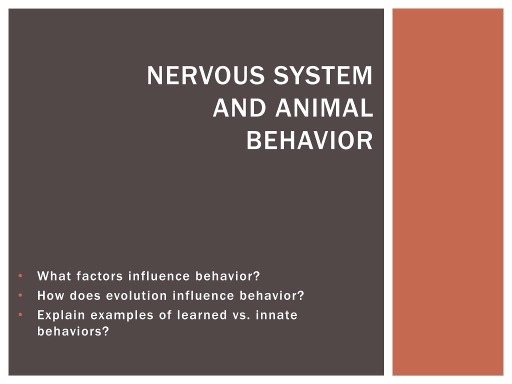 PPT - Nervous System and Animal Behavior PowerPoint Presentation, free ...
