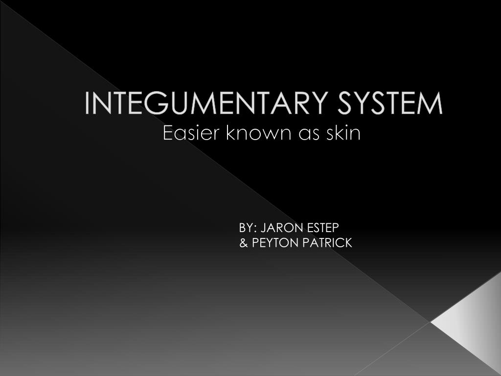 PPT - INTEGUMENTARY SYSTEM PowerPoint Presentation, free download - ID ...