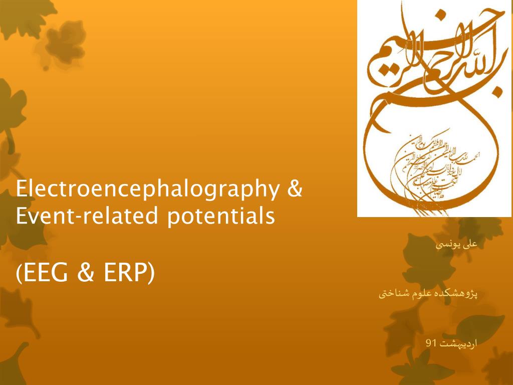 PPT - Electroencephalography & Event-related potentials ( EEG & ERP ...