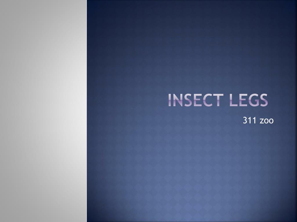 PPT - INSECT LEGS PowerPoint Presentation, free download - ID:2109567
